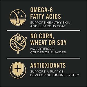 Purina Pro Plan Sensitive Skin and Stomach Large Breed Puppy Food Salmon and Rice Formula - 16 Lb. Bag