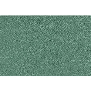 Premium Plus Dental Assistant Stool, 2103-Green