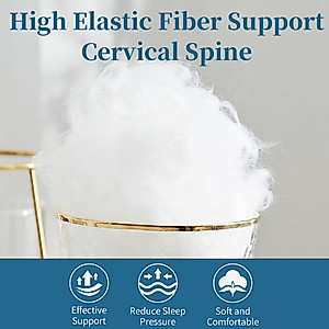 HOMBYS Ultra Thin Flat Bed Pillow for Stomach and Back Sleepers,Standard Size Down Alternative Cervical Pillow for Neck Pain, 100% Cotton Shell, White,2.5 inch