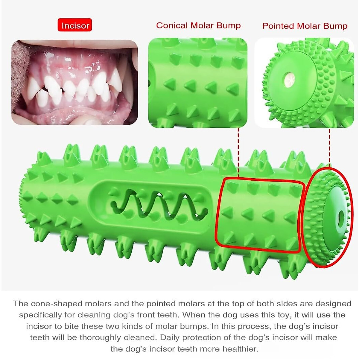 Nico's Friends Interactive Dental Toy for Dogs – Squeaky Puzzle to Clean Teeth and Promote Oral Health – Perfect for Small, Medium, and Large Breeds.