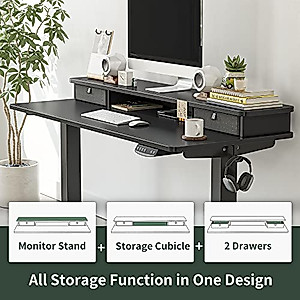 FEZIBO 48 x 24 Inch Height Adjustable Electric Standing Desk with Double Drawer, Stand Up Desk with Storage Shelf, Sit Stand Desk, Light Rustic/Black Frame