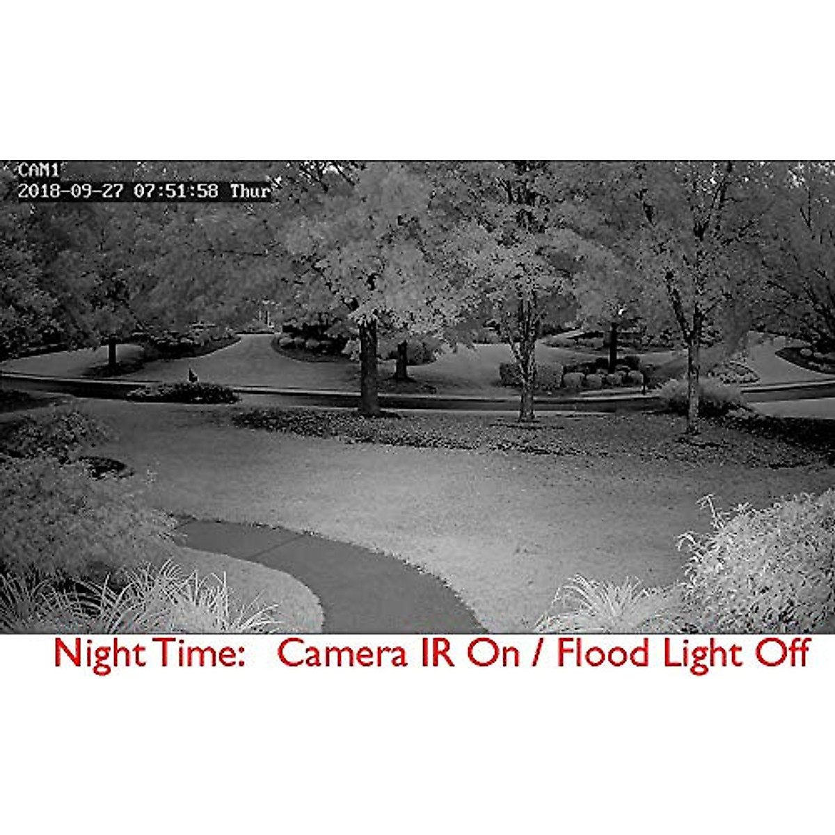 Zeus CCTV WiFi Floodlight Bulb Camera Home Security System Wireless Outdoor Waterproof Remote Control Camera Night Vision 1080p E26 LED Floodlight Cam