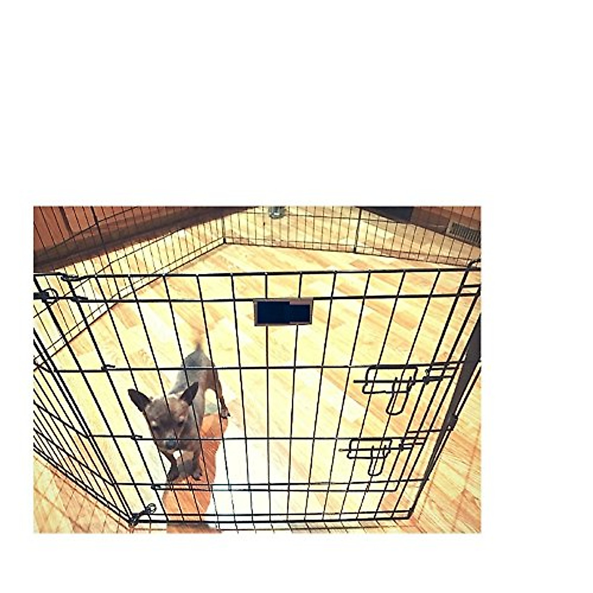 Bunny Rabbit Pen Exercise Indoor 41-Inch with Door House Pet Dog 8 Panel Gate Yard Enclosure X Pen Xpen Fence Playpen & by OISTRIA