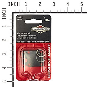 Briggs & Stratton Diaphragm Kit 5021K