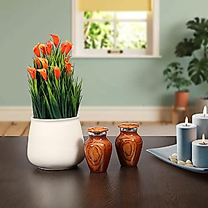 Mini Urn for Human Ashes Set of 4 - A Beautiful and Humble Urn for Your Loved Ones Remains. This Lovely - Urn Will Bring You Comfort Each Time You See It Size 2.8x1.7 inch- Natural Wood