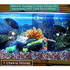 MAIBAOTA Natural 7 Chakra Crystal Quartz Rocks Chips Vase Filler Rocks for Succulent Plant Small Fish Tank Aquarium Gravel Decorative Pebbles Stones(200 gram)