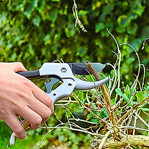 Heavy Duty Pruning Shears for Weak Hands for Women Men Hand Pruner Garden Shears for arthritic Hands Garden Scissors For Gardening, Rose Plants Garden Clippers Gardening Gift for Dad Mom Girl (Silver)