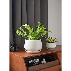 LE TAUCI Ceramic Plant Pots, 4.1+5.1+6.5 inch, Set of 3, Planters with Drainage Hole and Saucer, Indoor Flower Pot with Hole Mesh Pad, Gifts for Mom, White