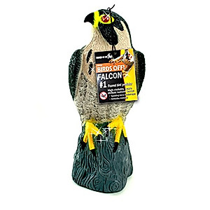 Bird-X Falcon Predator Decoy Bird Scare
