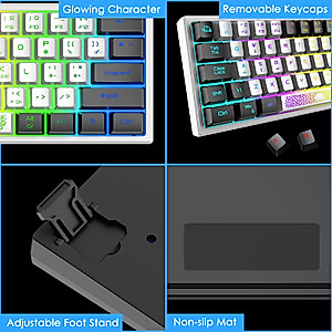 ZIYOU LANG K61 60% Wired Gaming Keyboard RGB Backlit Membrane Keyboard Mechanical Feel Ultra-Compact Mini Waterproof Keyboard for PC Computer Gamer (White Black)