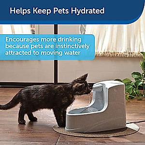 PetSafe Drinkwell Mini Pet Fountain for Cats & Small Dogs- Water Filter Included- Flowing Dispenser Encourages Hydration- Adjustable Knob Enables Water Flow Customization- Perfect for Small Spaces