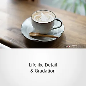 Sony - FE 50mm F1.8 Standard Lens (SEL50F18F), Black