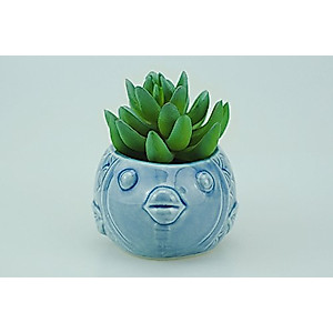 VanEnjoy 5" Ceramic Succulent Pot, Cute Ocean Blue Seashell Series, Conch Shaped Cactus Pot Planter, Flower Pot, Pottery Bonsai Pot (Seashell M)