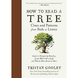 How to Read a Tree: Clues and Patterns from Bark to Leaves (Natural Navigation)