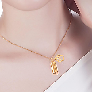 Lerpwige Stainless Steel Pet Urns Holder Necklace for Dogs Cats Pet Memorial NecklaceKeepsake Loss Pet Memory Urn Holder Jewelry Stainless Steel Pet Urn Necklace Cremation Jewelry for Pets
