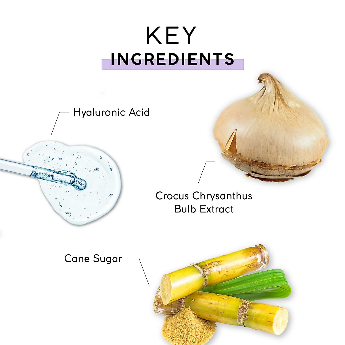 MyCHELLE Dermaceuticals Refining Sugar Cleanser, 2.3 Fl Oz - Skin & Facial Cleanser with Matrixyl Peptide & Cane Sugar to Soften, Smooth & Help to Reduce the Appearance of Fine Lines and Wrinkles