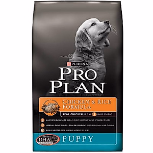 Purina Pro Plan 11363 Chicken & Rice Formula Puppy Dog Food, 6 Lb
