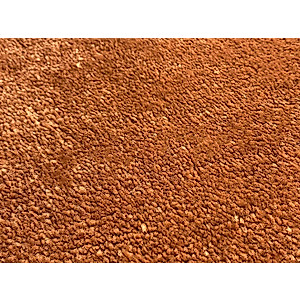 Euro Collection Solid Color Area Rug Rugs Slip Skid Resistant Rubber Backing Machine Washable More Color Options Available (Burnt Orange, 3'3" x 4'11")