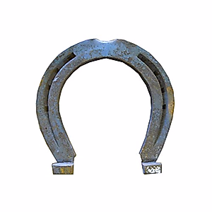 Giant Cast Iron Clydesdale Horseshoe Decorative Western Decor
