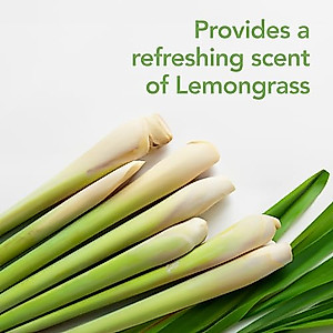 Raid Essentials Multi-Insect Killer Spray Bottle, Child and Pet Safe, for Indoor Use, Lemongrass Scent, 12 fl oz