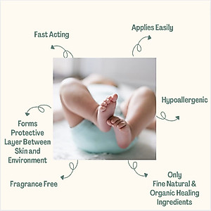 Nature Only Wholesome Diaper Cream. Calm, Nourish and Soothe Diaper Rash. Natural & Organic - 4 oz (Pack of 1)