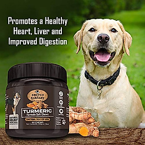 BRUTUS & BARNABY Turmeric for Dogs- Organic Turmeric with Curcumin, Soft Chews with Collagen and Bioprene Provides Hip and Joint Support Reduces Inflammation from Arthritis