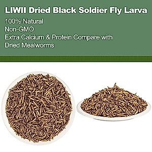 LIWII Dried Black Soldier Fly Larva-2 Pack of 11 lbs-100% Natural BSF Larvae-85XMore Calcium Than Mealworms - High Calcium Treats for Chickens, Birds, Reptiles, Hedgehog, Geckos, Turtles