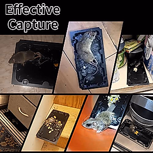 10 Pack Sticky Mouse Trap Rat Traps Indoor, Mouse Traps Indoor for Home, Glue Traps for Mice and Rats, Snake(Large Size)