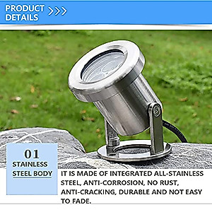 AMDHZ 3W Underwater Lights 304 Stainless Steel Waterproof IP68 Pool Lights Garden Pond Lights for Fountain Fish Pond Underwater (Color : White Light, Size : 220V)