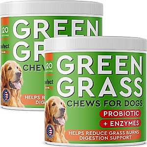PAWFECTCHEW Green Lawn Chews for Dogs - Green Grass Chews - Urine Neutralizer Grass Burn Spots - Lawn Burn from Dog Urine - Probiotics & Enzymes - Made in USA - Bacon Flavor - 240 Lawn Saver Chews