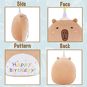 Happy Birthday Plush Pillow, Fun Birthday Plush 10 Inches, Soft Creative Animal Plush Decoration, Suitable as a Surprise Birthday Gift for Boys and Girls (Happy Birthday Dolphin, Small)