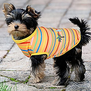 Phiyolin 2-Pack Dog Shirts Striped Stretch Dog T-Shirts for Small and Medium Dogs,Quick Dry Breathable Pet Clothes（M,Blue）