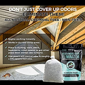 Dead Animal Smell Removal Reusable Deodorant Pouch. Eliminate dead Animal Smell Without Scent. Decay Odor Remover. Fragrance Free. Pet and Kid Safe. Extra Large, Covers 375 Square Feet.