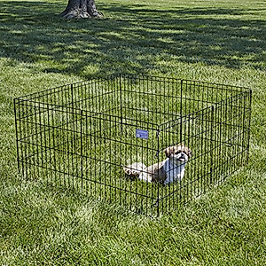 MidWest Homes for Pets Foldable Metal Dog Exercise Pen / Pet Playpen, 24'W x 24'H, 1-Year Manufacturer's Warranty