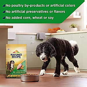 Nature’s Recipe Large Breed Grain Free Chicken, Sweet Potato & Pumpkin Recipe, Dry Dog Food, 24 Pounds (Packaging May Vary)