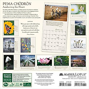 Pema Chodron 2021 Calendar: Awakening the Heart