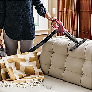 Shark ZU561 Navigator Lift-Away Speed Self Cleaning Brushroll Lightweight Upright Vacuum with HEPA Filter, Red Peony