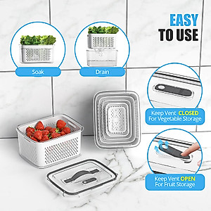 damynuo 5 Pack Fruit Storage Containers for Fridge - Clear Berry Containers with Colander, Airtight Fridge Organizer Bins with Vent Handle Lids for Refrigerator Organizers and Storage Keep Fresh