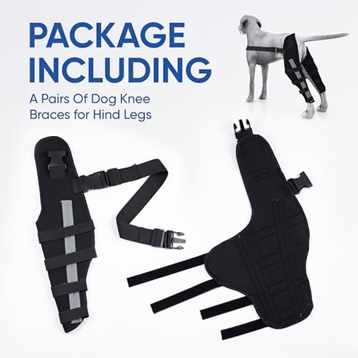 NATUYA Dog Knee Brace for Torn ACL Hind Leg, CCL, Luxating Patella, Dog Leg Braces with Side Stabilizers - Better Recovery and Prevent Licking, Relieves Joint Pain (Black, M)