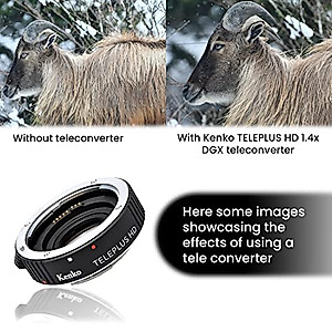KENKO - Teleplus 1.4X HD DGX Teleconverter for Canon - Black