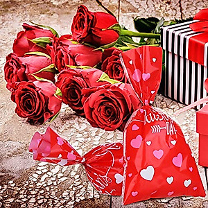 100 Pieces Valentine Cellophane Bags Heart Shaped Red Treat Bags Happy Valentine's Day Bags with Twist Ties for Candy, Wedding Party Favors