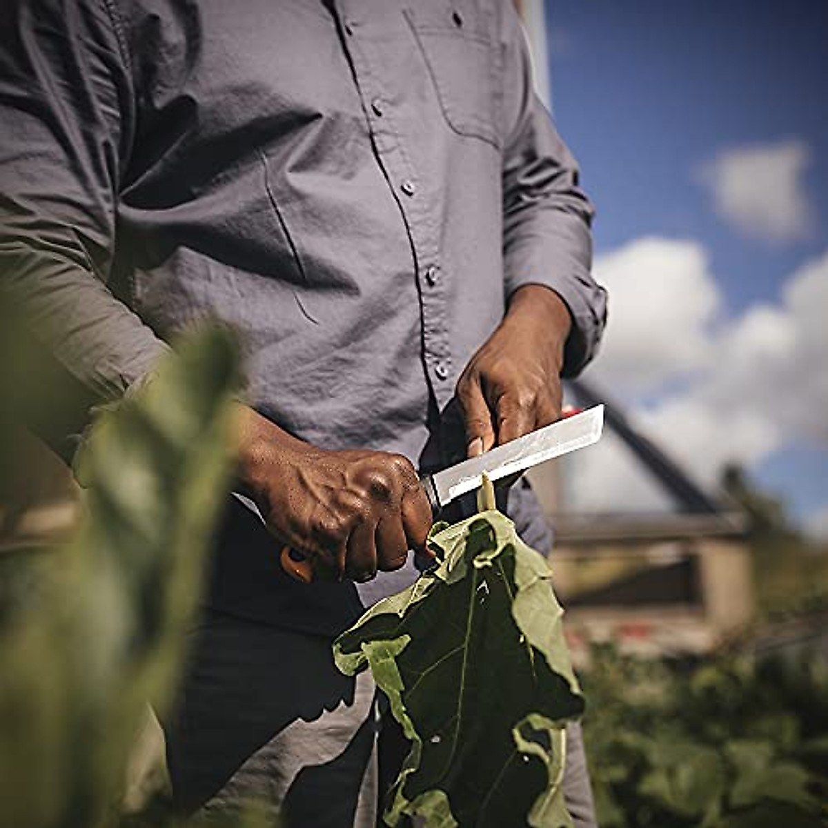 Fiskars 340150-1001 Food Gardening Harvesting Knife, Black/Orange