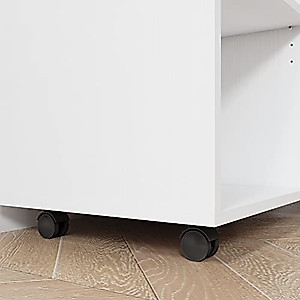 WAHEY File Cabinet, 2 Drawer Mobile Lateral Filing Cabinet with Open Storage Shelf, OLFC002