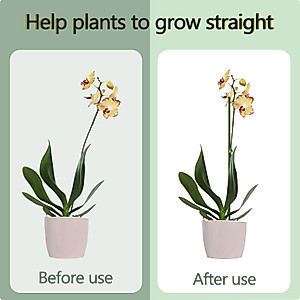 Plant Stakes,20Pcs Plant Sticks,Garden Green Bendable Single Stem Plant Support Stakes for Indoor and Outdoor Plants,Potted Plants,Flowers Orchid Peony Rose-18 Inches