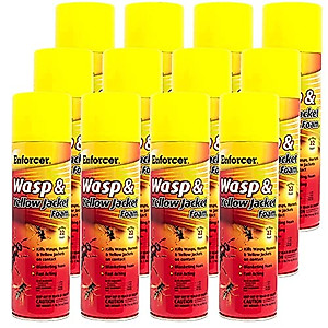 Enforcer Wasp & Yellow Jacket Foam V - 16 oz (Case of 12) - FWH16 - Kills Wasps, Hornets and Yellow Jackets
