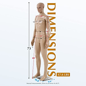 HCY Mannequin Body, Male Mannequin Full Body 73 inch Model Mannequin Stand Dress Form Sewing Dress Adjustable Dress Mannequin Clothing Form Mannequin Display Head Arm Rotation Metal Base