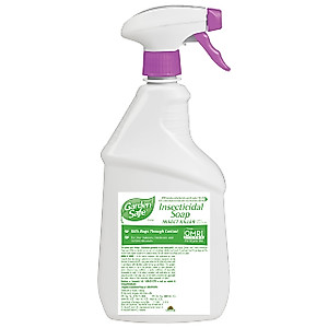 Garden Safe Insecticidal Soap Insect Killer, Kills Bugs Through Contact, Controls Aphids, Whiteflies, Mealybugs, For Organic Gardening, (RTU Spray) 24 fl Ounce