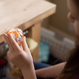 Fat Brain Toys Shake & Make - Dice Games for Ages 6 to 11