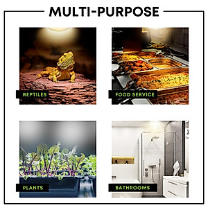 250R40/1 250-Watt, Incandescent R40 Reflector, Clear Head Lamp, Heat Flood Lamp Light Bulb, E26 Standard Medium Screw Base, 120V, 6,000 Hour Rated (Pack of 2-Clear-Heat Lamps)