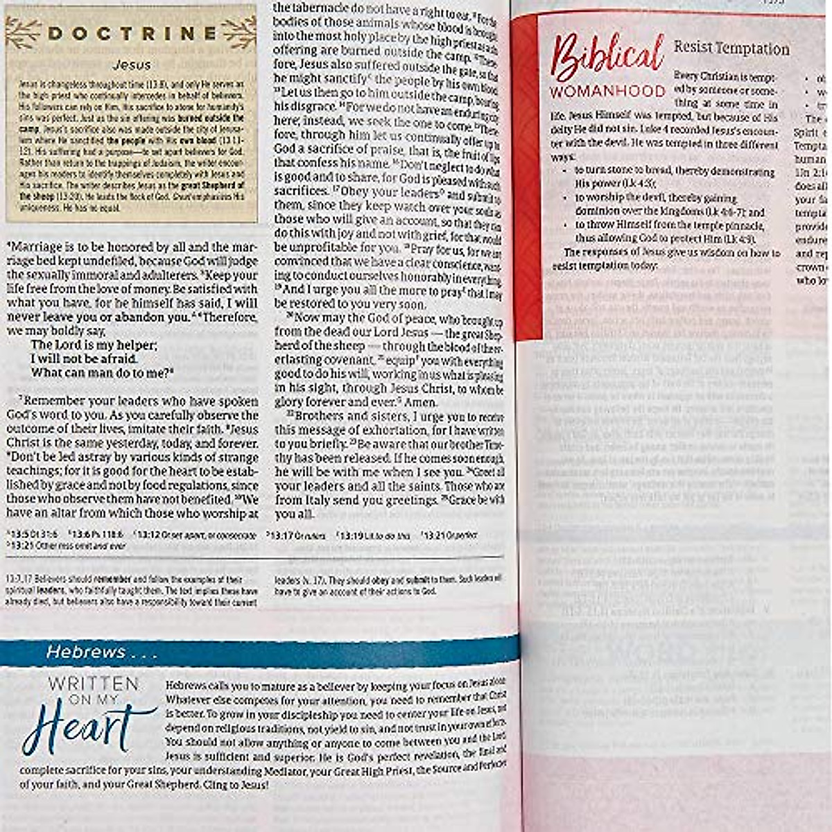 CSB Study Bible For Women, Light Turquoise/Sand Hardcover, Black Letter, Study Notes and Commentary, Articles, Profiles, Word Studies, Charts, Full-Color Maps, Easy-to-Read Bible Serif Type